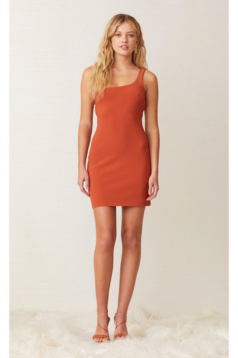 Ruby Mini Dress in Rust – Styled By Charli